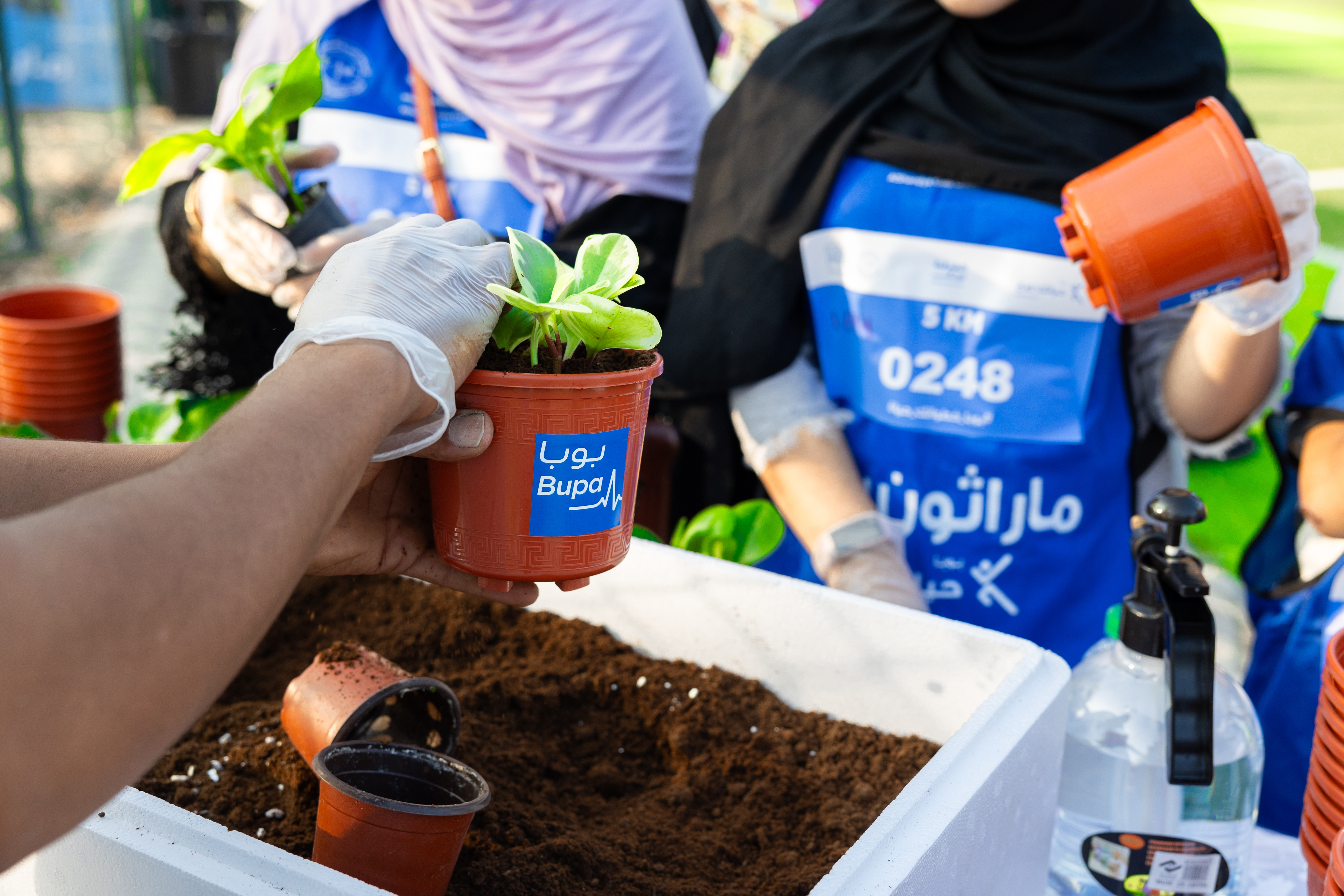 Bupa Marathon
